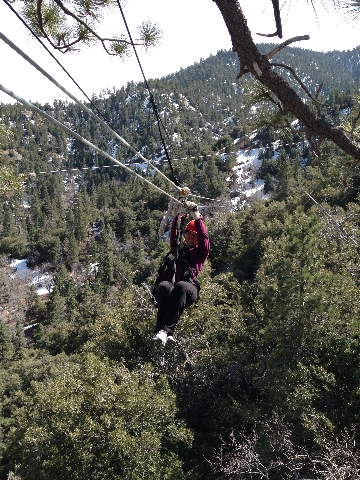 Ziplining in California with Navitat - Savvy Sassy Moms