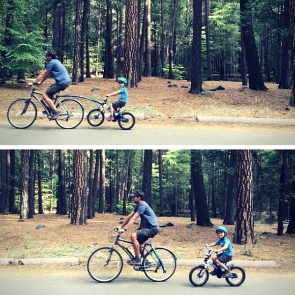 Trail-Gator 2 - Savvy Sassy Moms