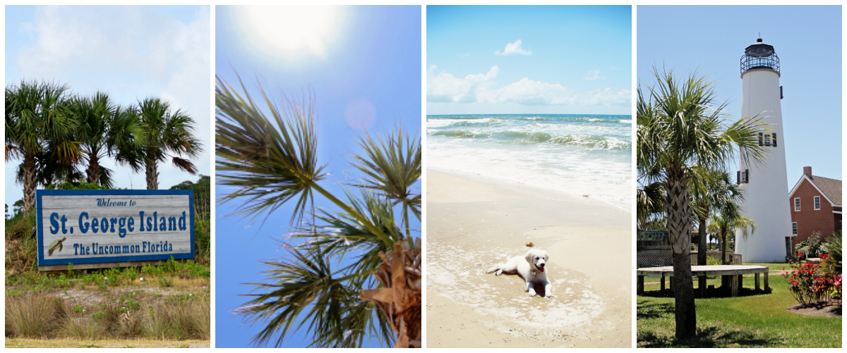 Exploring St. George Island, Florida - Savvy Sassy Moms
