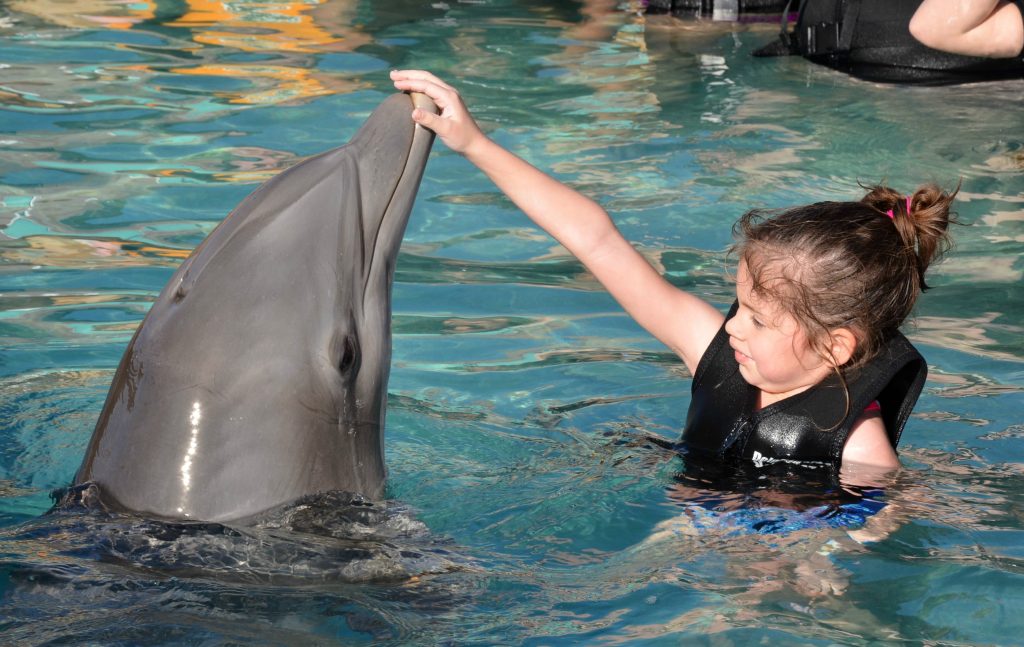 Dolphinaris Arizona is THE place to be this summer - Savvy Sassy Moms