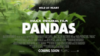 Pandas: IMAX experience - Plus the new augmented reality app for kids!