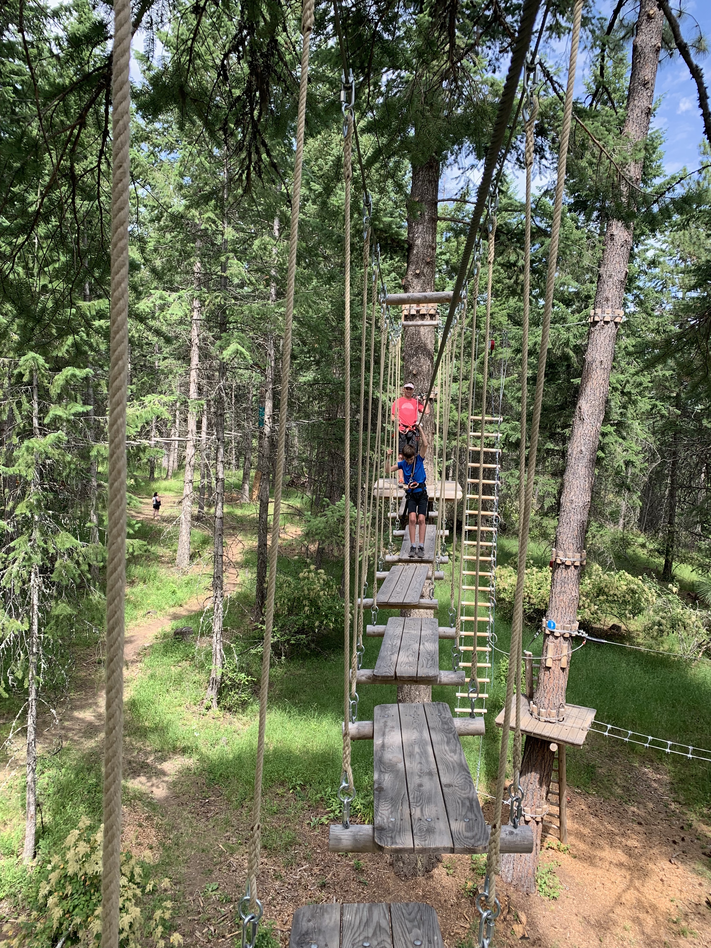 Tree to Tree - Savvy Sassy Moms